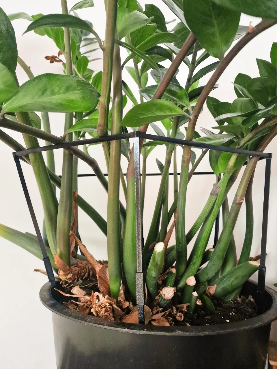 Modular plant support frame - Free 3D Print Model - MakerWorld