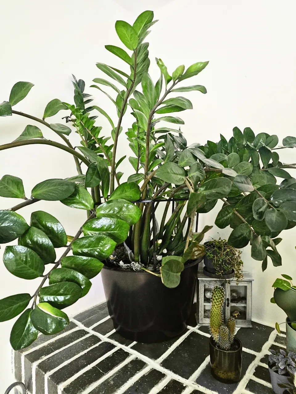 Modular plant support frame - Free 3D Print Model - MakerWorld