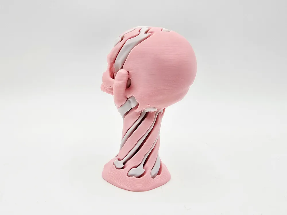 Skull Grip Impossible Pass Through Fidget by FilliFuu MakerWorld ...