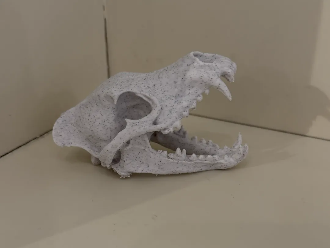 Greywolf skull - Free 3D Print Model - MakerWorld