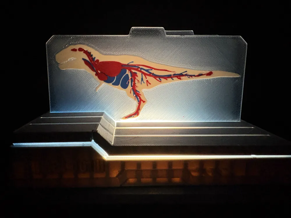 T-Rex Anatomy Lightbox by wontonnn MakerWorld: Download Free 3D Models