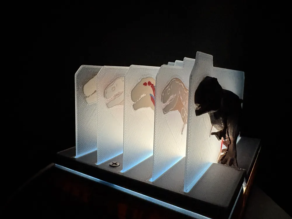 T-Rex Anatomy Lightbox by wontonnn MakerWorld: Download Free 3D Models