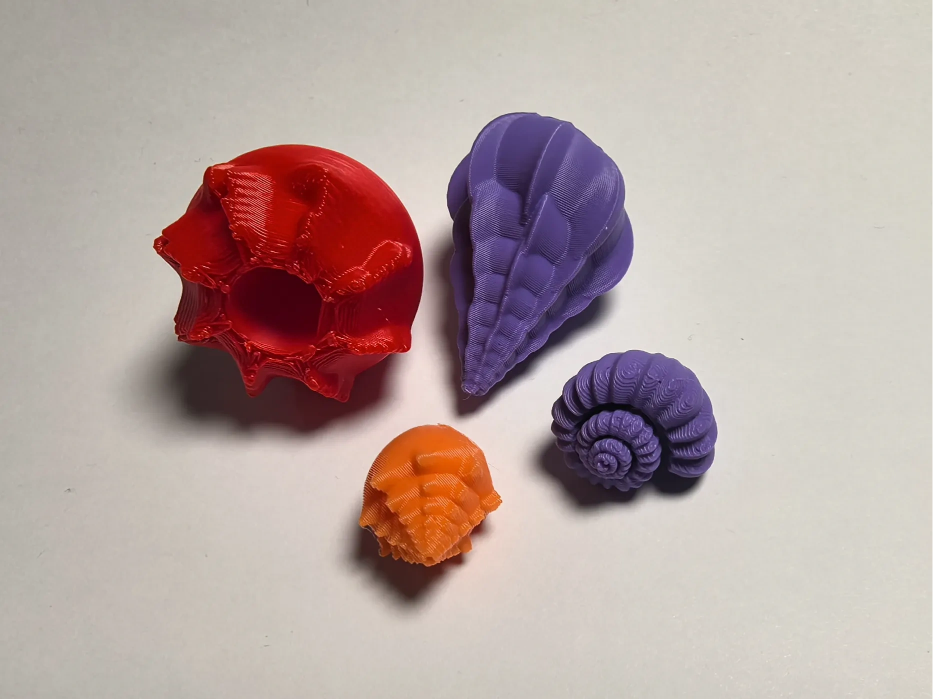 The Colorful Shell Series, Part Three by 一枣 - MakerWorld