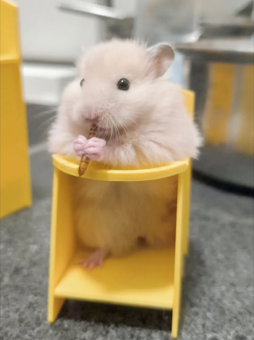 Hamster Dining Table by 小薛 - MakerWorld