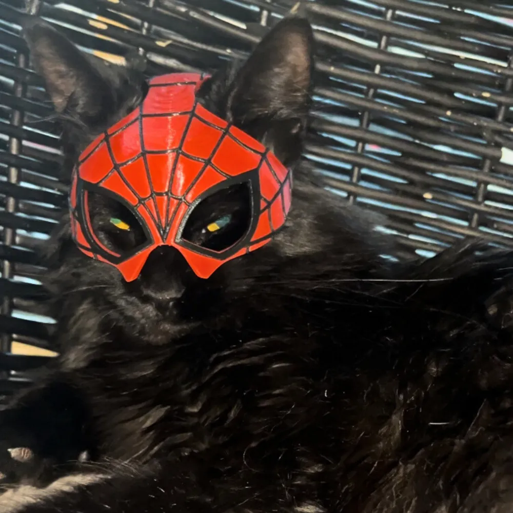 Spidercat Mask - Free 3D Print Model - MakerWorld