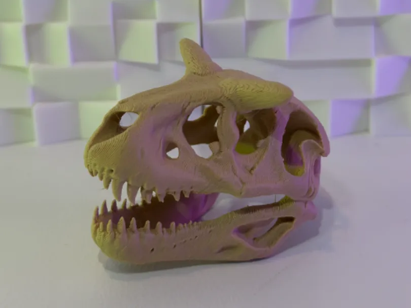 Carnotaurus Skull V2 (10-25 Grams) - Free 3D Print Model - MakerWorld