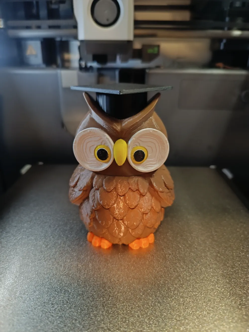 Teacher Appreciation / Graduation Owl Gift - Free 3D Print Model ...