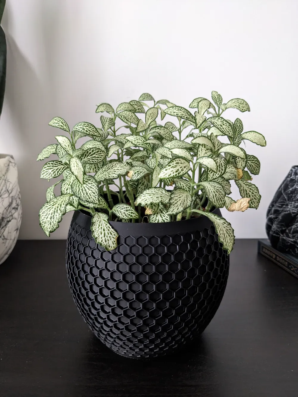 Faded Honeycomb Planter by Tycho Design MakerWorld: Download Free 3D Models