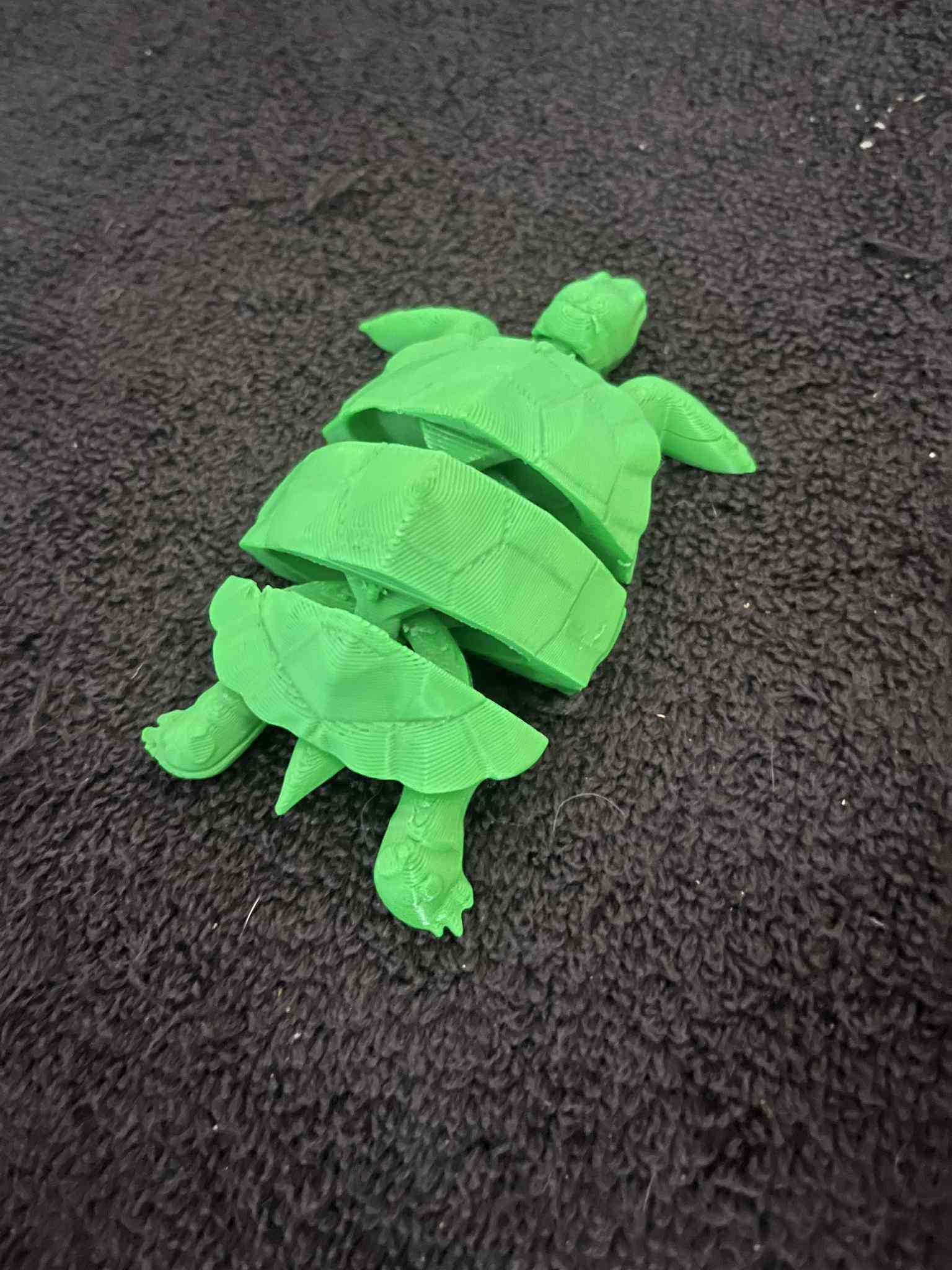 tortoise flexi - Free 3D Print Model - MakerWorld
