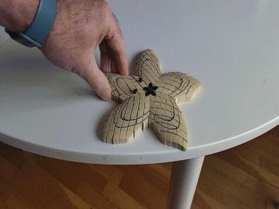 Sally The Symmetrical Flexi Starfish by 3D_Grandpa MakerWorld: Download ...