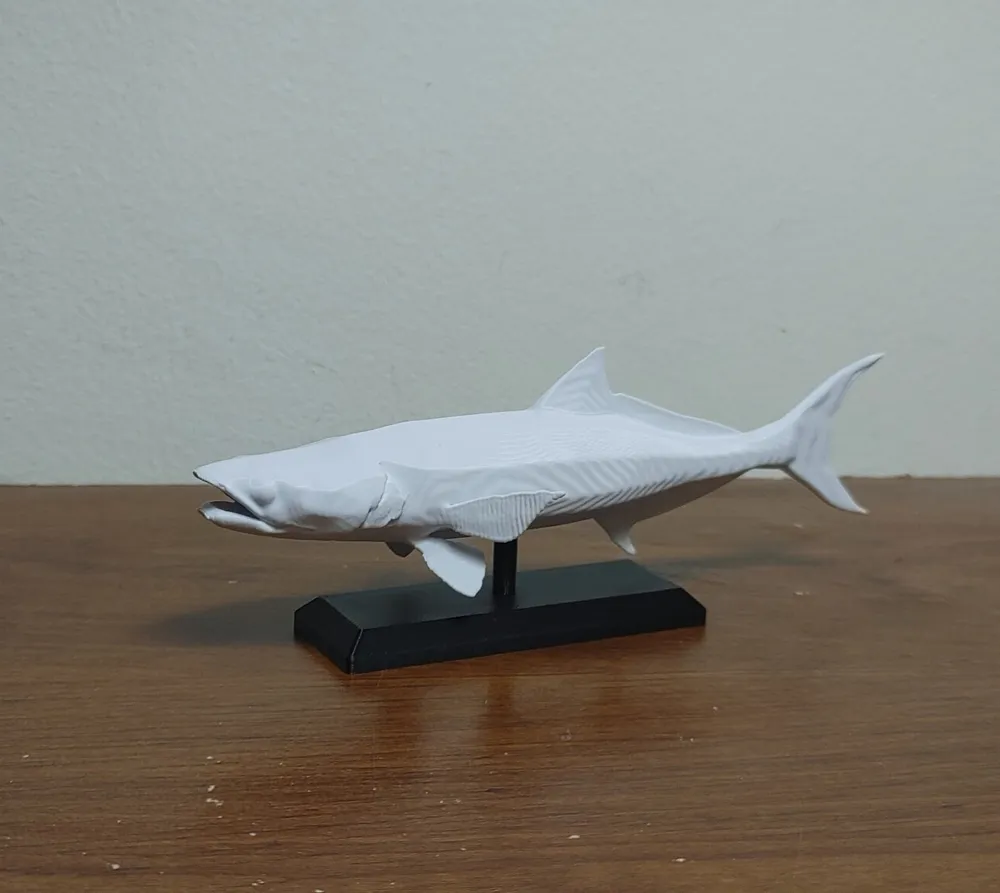 Cobia Fish Mount by Fish Prints - MakerWorld