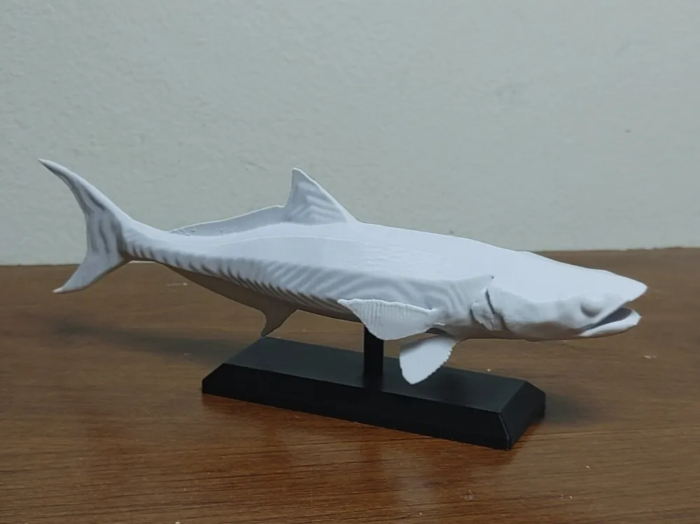 Cobia Fish Mount by Fish Prints - MakerWorld