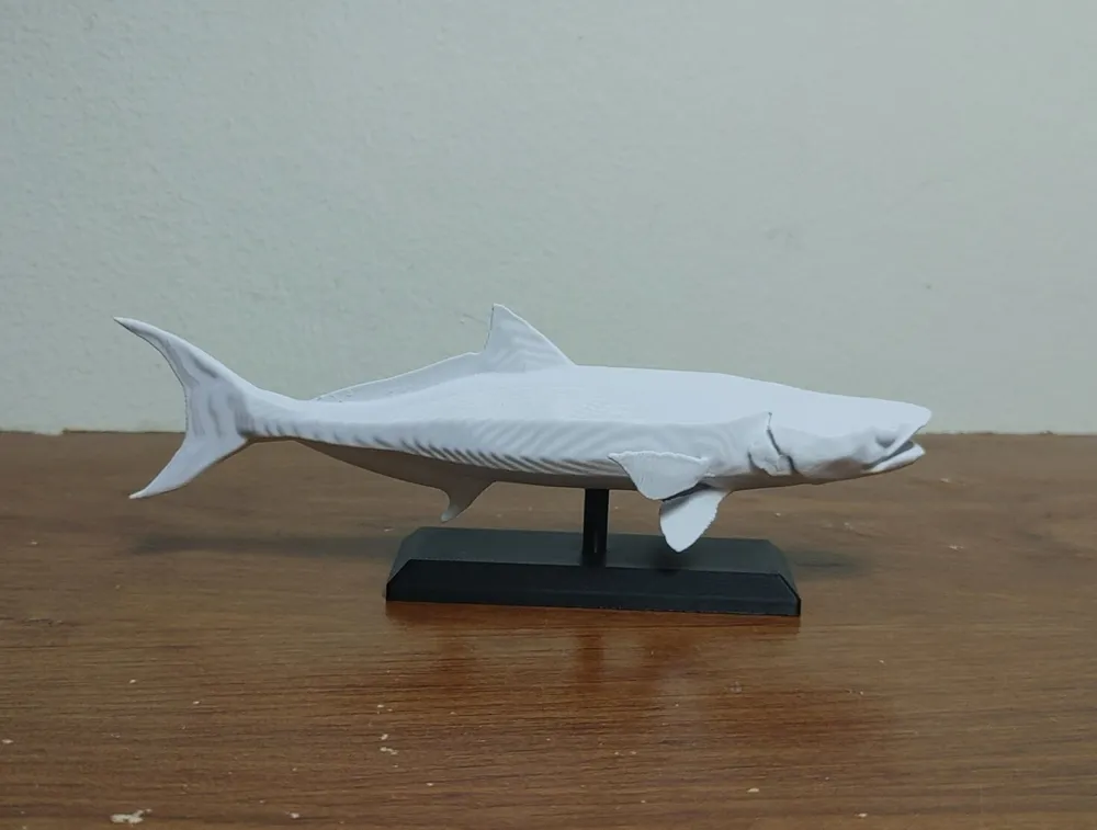 Cobia Fish Mount by Fish Prints - MakerWorld