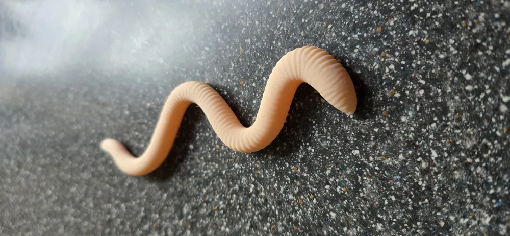 A realistic Earth Worm - Free 3D Print Model - MakerWorld