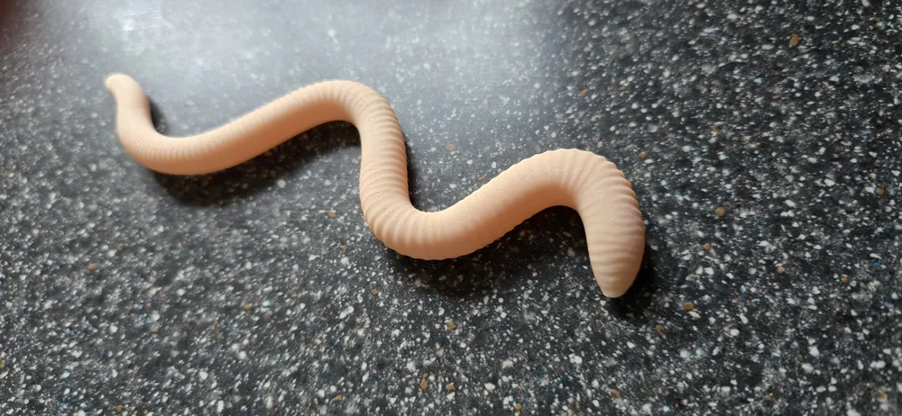 A realistic Earth Worm - Free 3D Print Model - MakerWorld