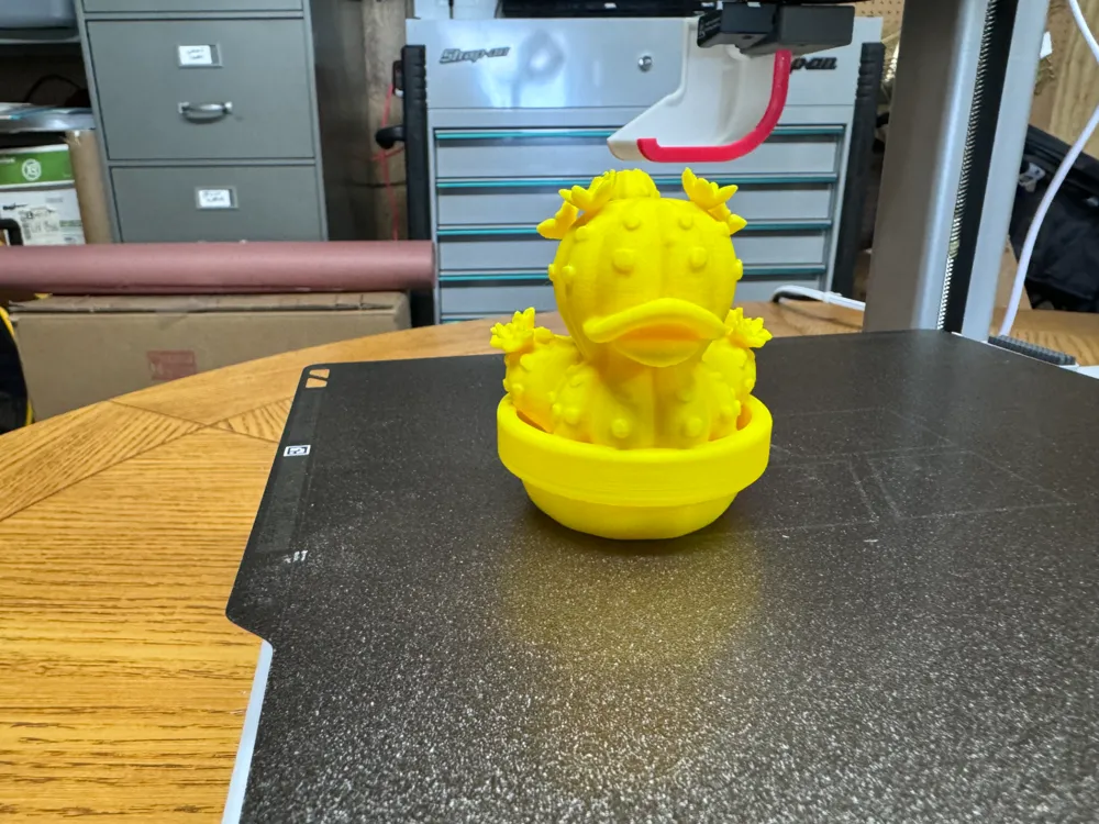 Cactus Pot Duck by CorwineCustoms.3D LLC MakerWorld: Download Free 3D ...