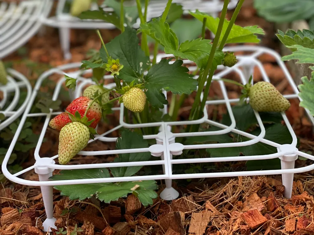 Strawberry Support, Platform for Low-Growing Fruit - Free 3D Print ...