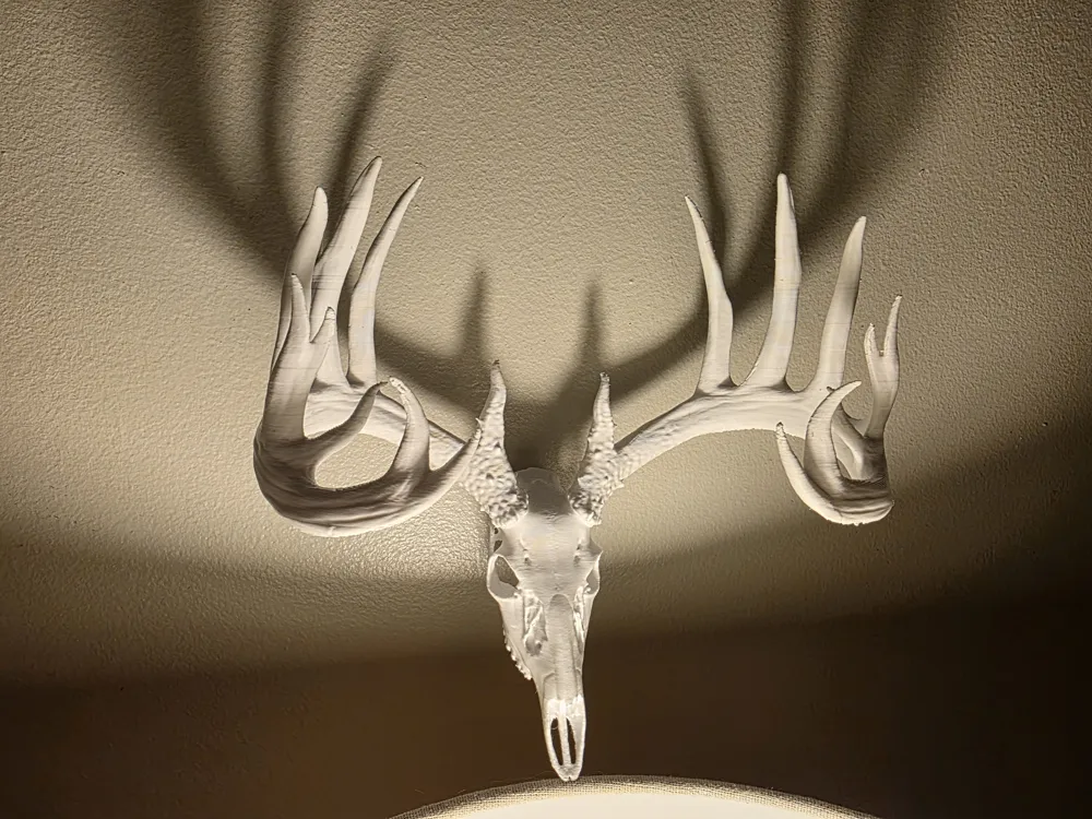 "Beautimus" Whitetail Deer Skull by DTM247 MakerWorld: Download Free 3D Models