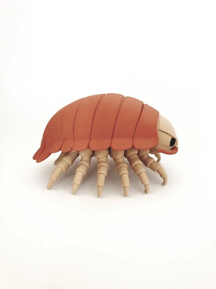 Giant Isopod by Midjam MakerWorld: Download Free 3D Models