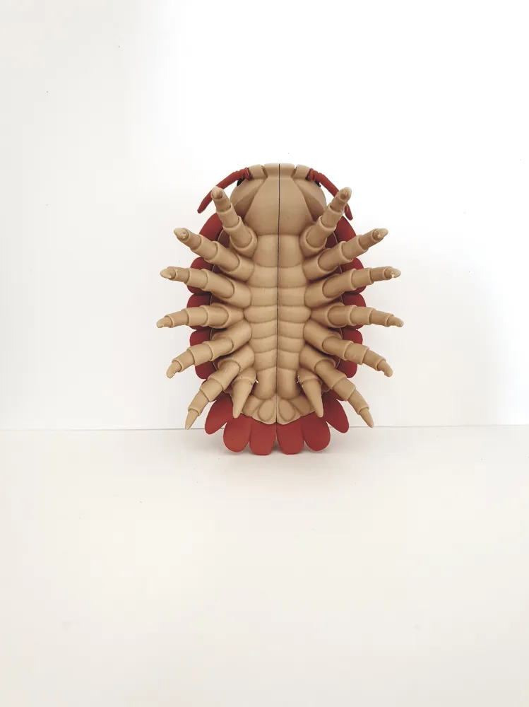 Giant Isopod by Midjam MakerWorld: Download Free 3D Models