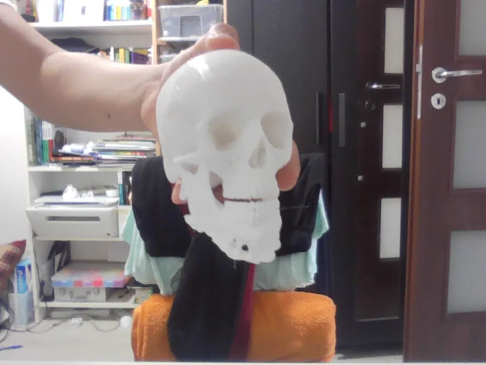 Mini skull by Designer - MakerWorld