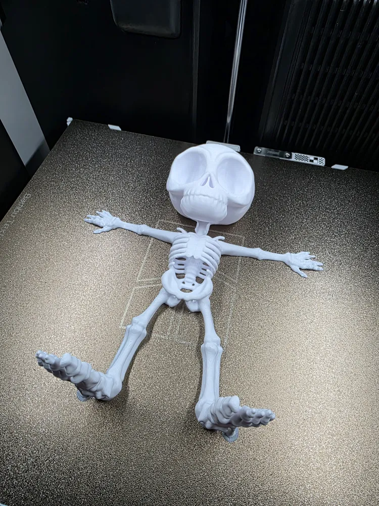 "Chill" Skeleton - Star Gazer - Free 3D Print Model - MakerWorld