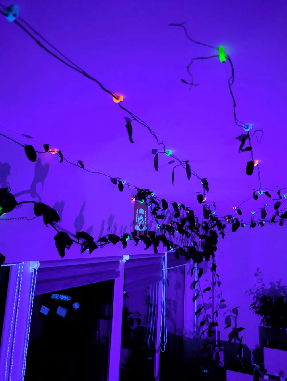 Pince Lumineuse pour Plante Grimpante - Kit de 12, 4 Couleurs AMS ...