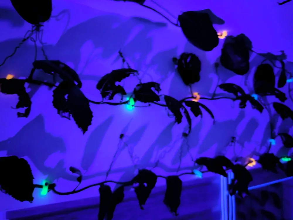 Pince Lumineuse pour Plante Grimpante - Kit de 12, 4 Couleurs AMS ...