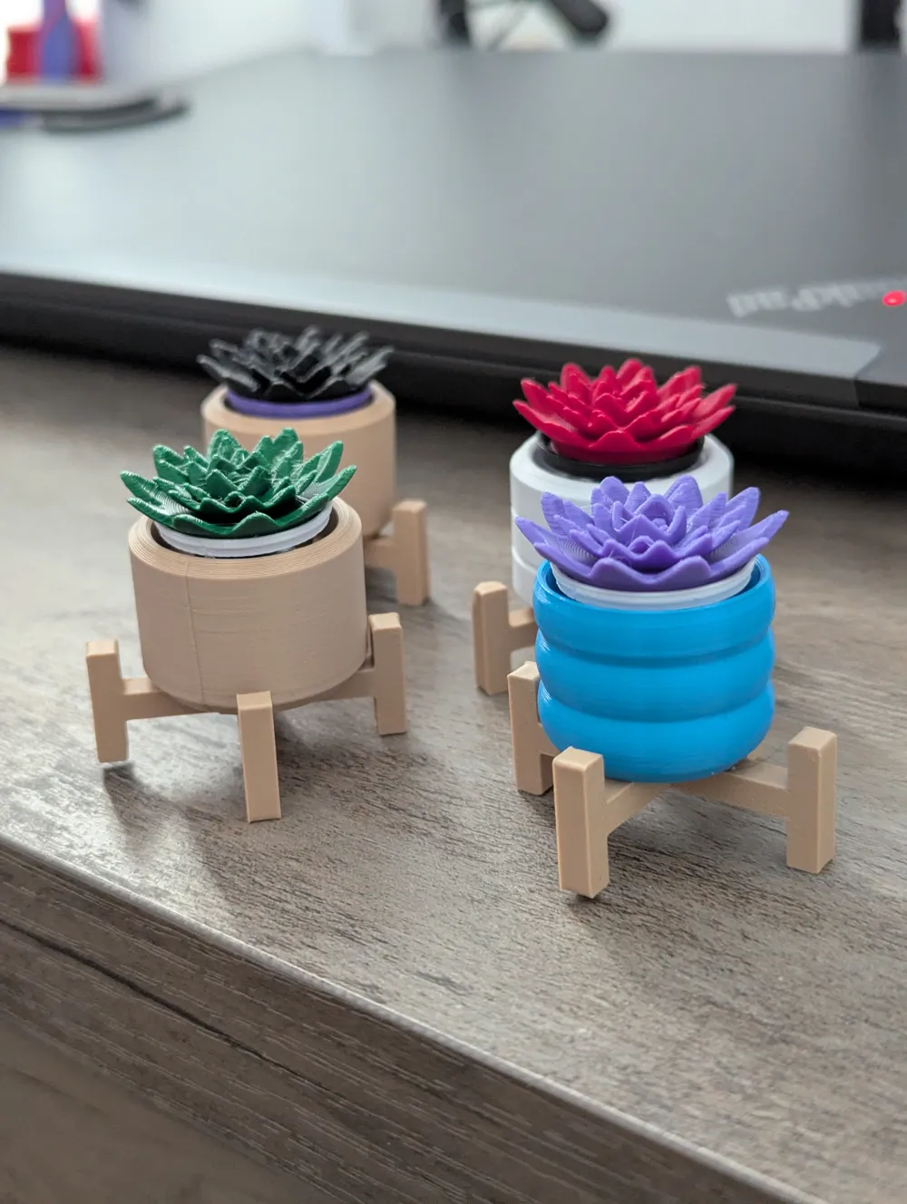 Mini Plant Clicky Fidget Toy by LAYRLAB MakerWorld: Download Free 3D Models
