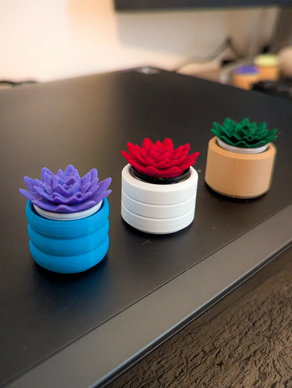 Mini Plant Clicky Fidget Toy - Free 3D Print Model - MakerWorld
