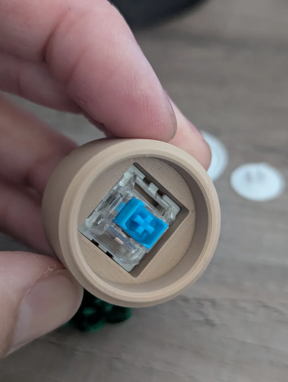 Mini Plant Clicky Fidget Toy by LAYRLAB MakerWorld: Download Free 3D Models