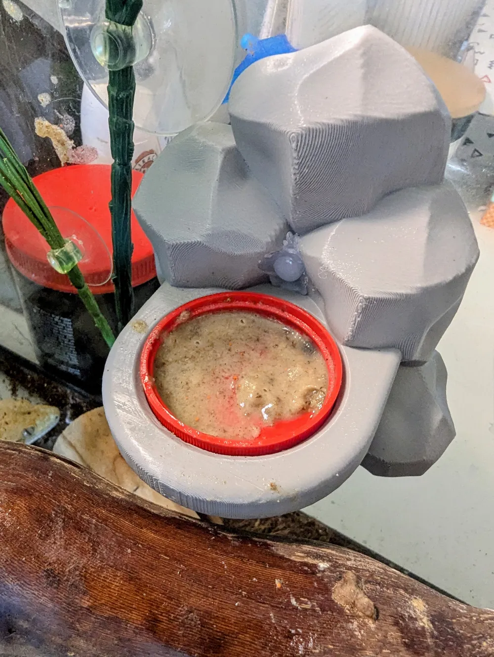 Gecko Feeding ledge - Bottle Cap - Free 3D Print Model - MakerWorld