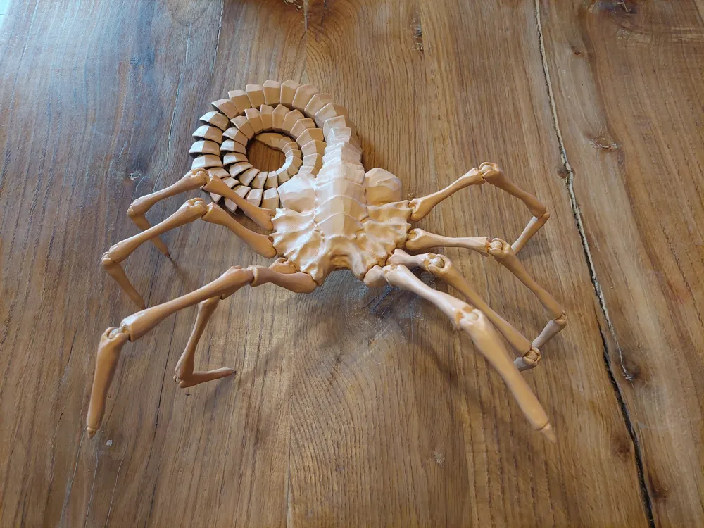 Facehugger Tail (Realistic Version) - Free 3D Print Model - MakerWorld