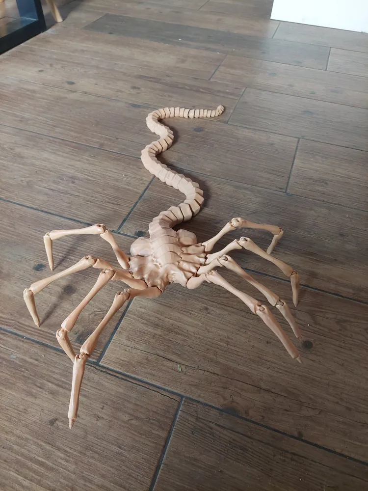 Facehugger Tail (Realistic Version) - Free 3D Print Model - MakerWorld