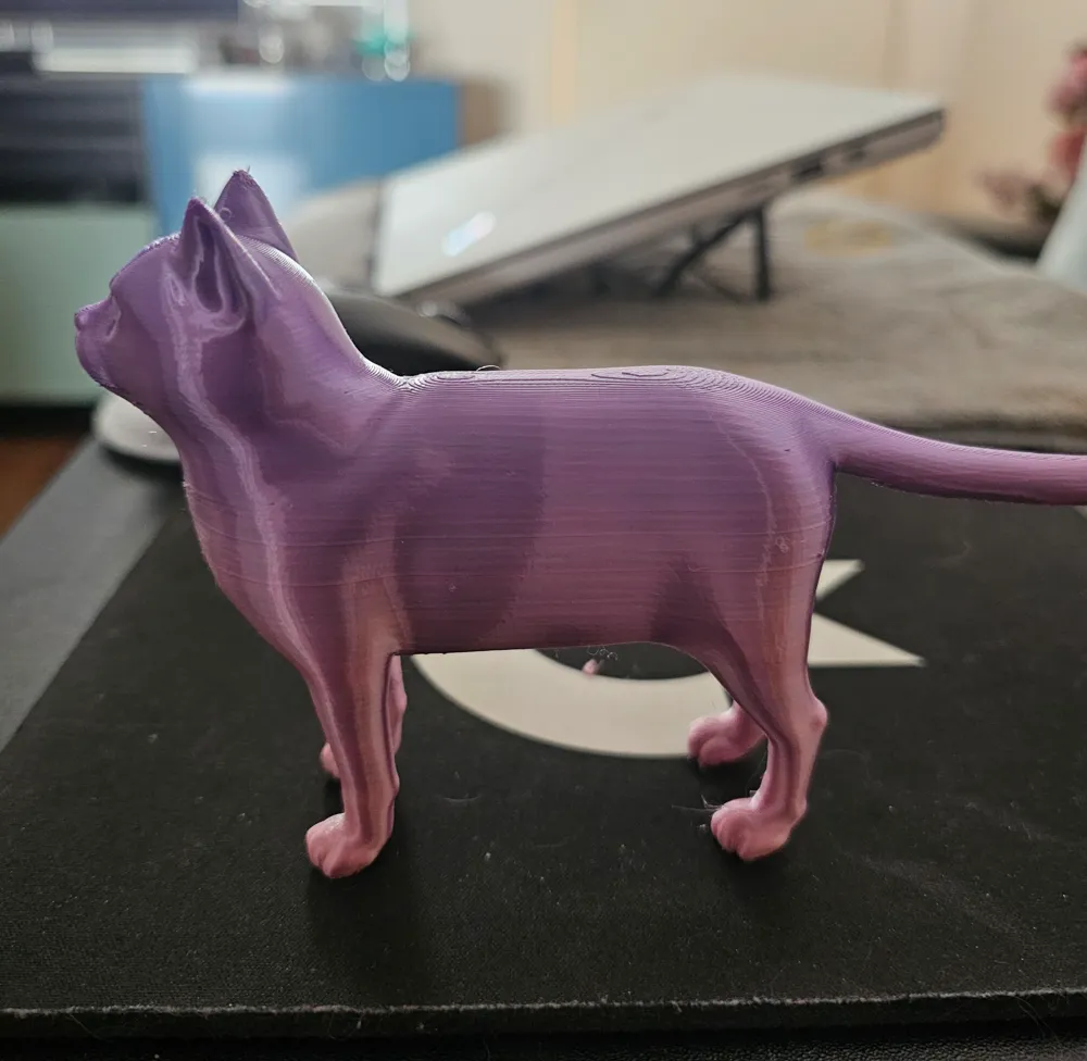 Cat by beamr39 - MakerWorld