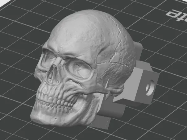 A1 Series X Axis Skull Cover Remixed by RobbitHobbit22 MakerWorld ...