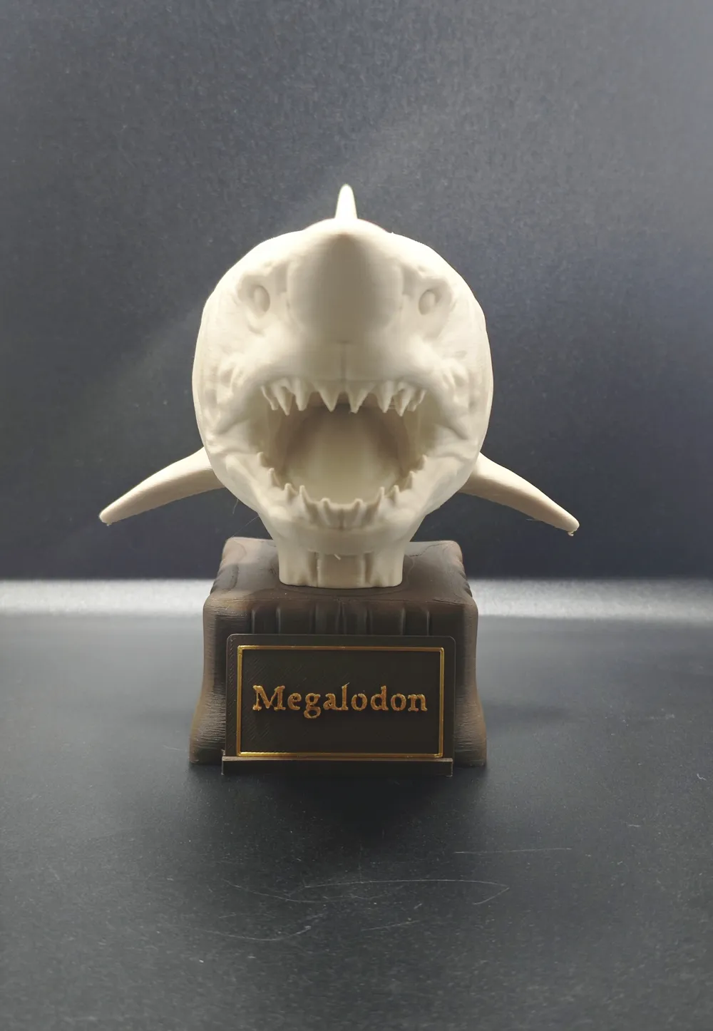 Megalodon Bust (Fan Art) Jurassic World by sh85_Printing MakerWorld ...