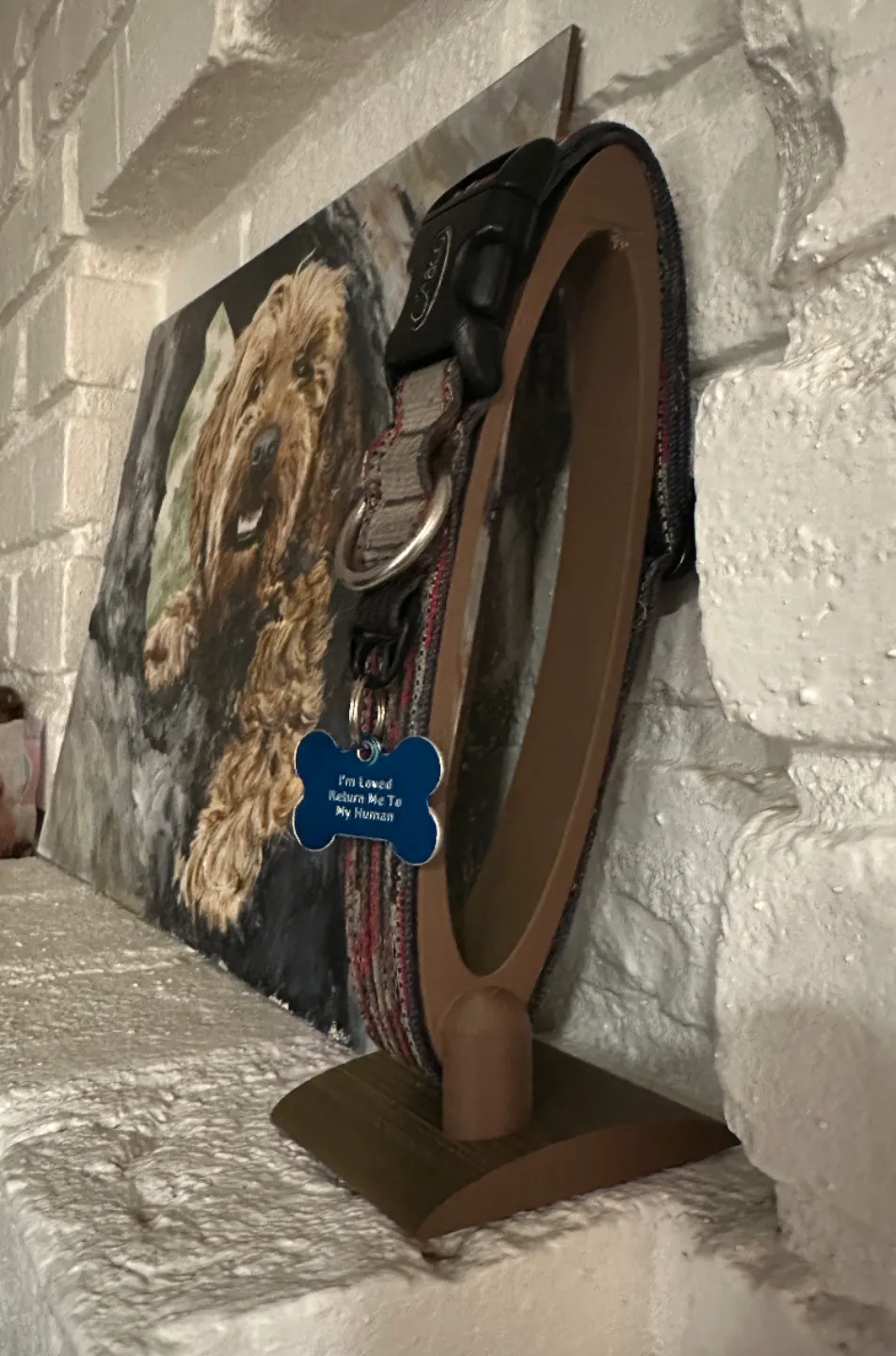 Dog Collar Display Stand by D3VNAR - MakerWorld