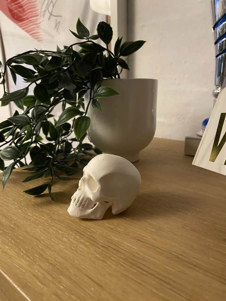 Skull - Free 3D Print Model - MakerWorld