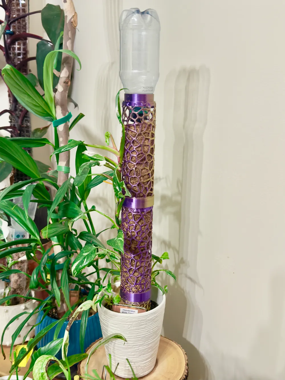 Stackable Plant Moss Pole by AD3D - MakerWorld
