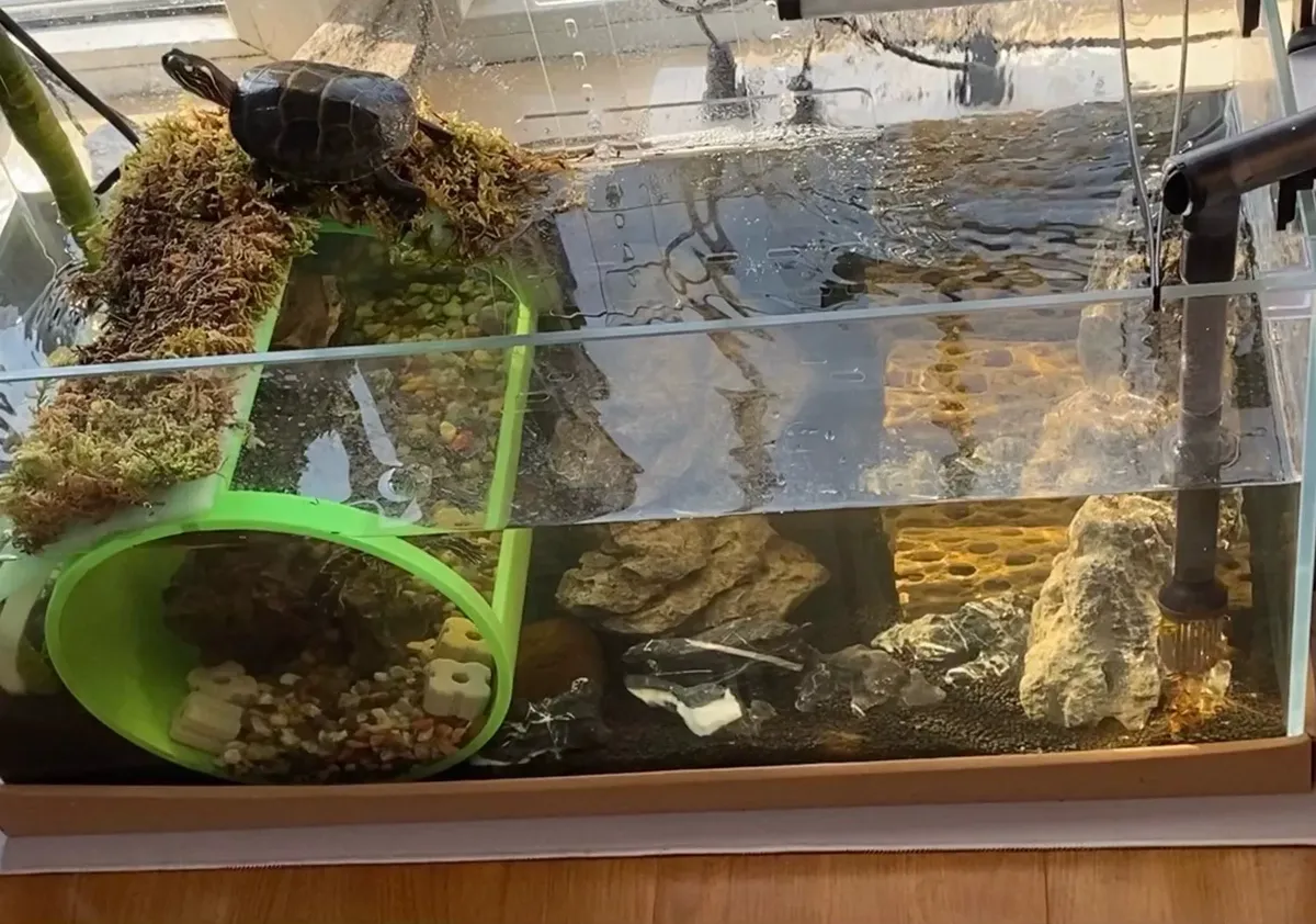 Turtle Basking Platform Villa 2.0 - Free 3D Print Model - MakerWorld