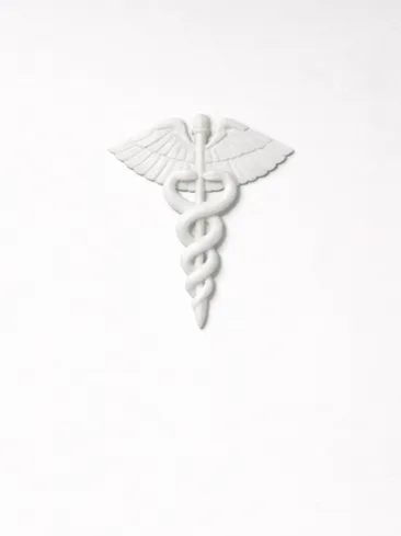 Caduceus Rod / Medicine symbol / Doctor's symbol - Free 3D Print Model ...