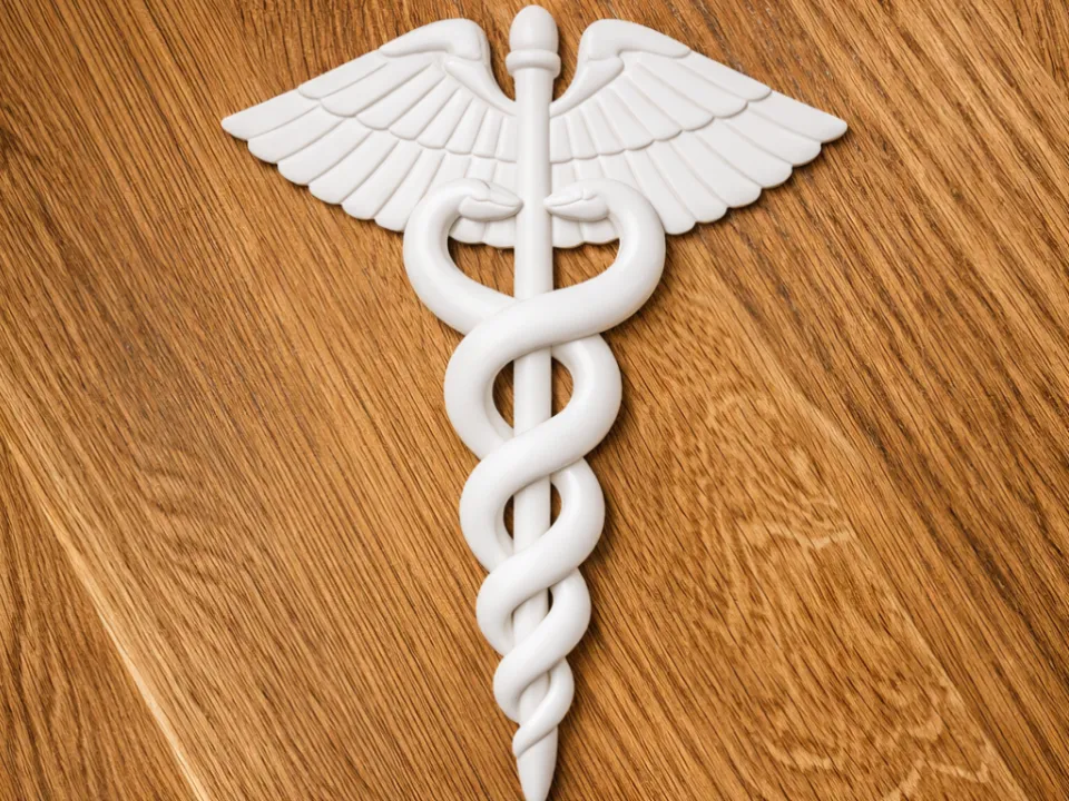 Caduceus Rod / Medicine symbol / Doctor's symbol - Free 3D Print Model ...