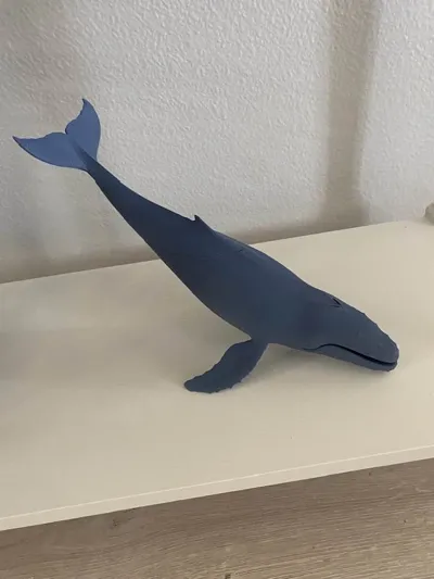 Humpback Whale. by user_1523831133MakerWorld: Download Free 3D Models