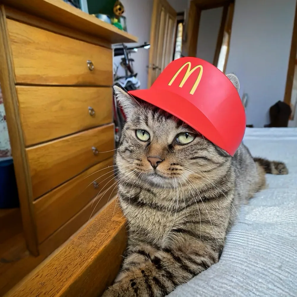 McDonald's hat walkie-talkie pet accessory sun visor cat hat photo op ...