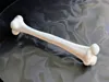 Realistic Dog Bone – Pet Toy & Display Sculpture - Free 3D Print Model ...