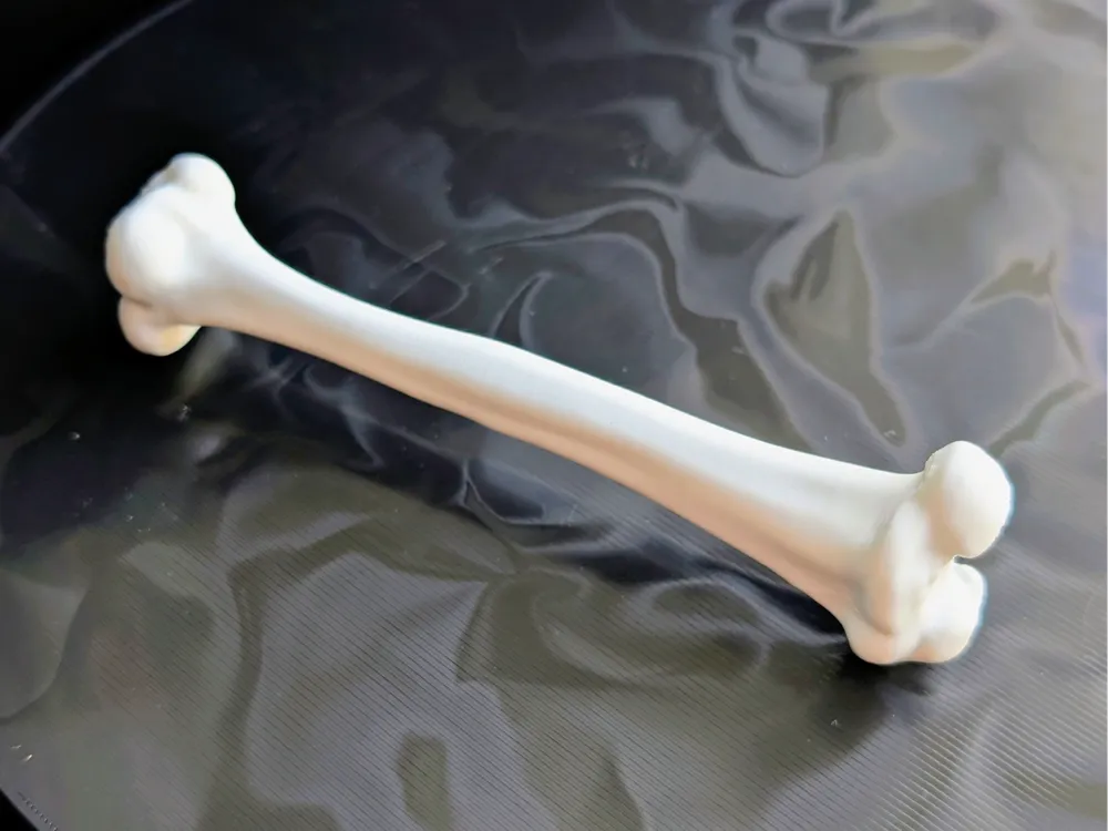 Realistic Dog Bone – Pet Toy & Display Sculpture - Free 3D Print Model ...