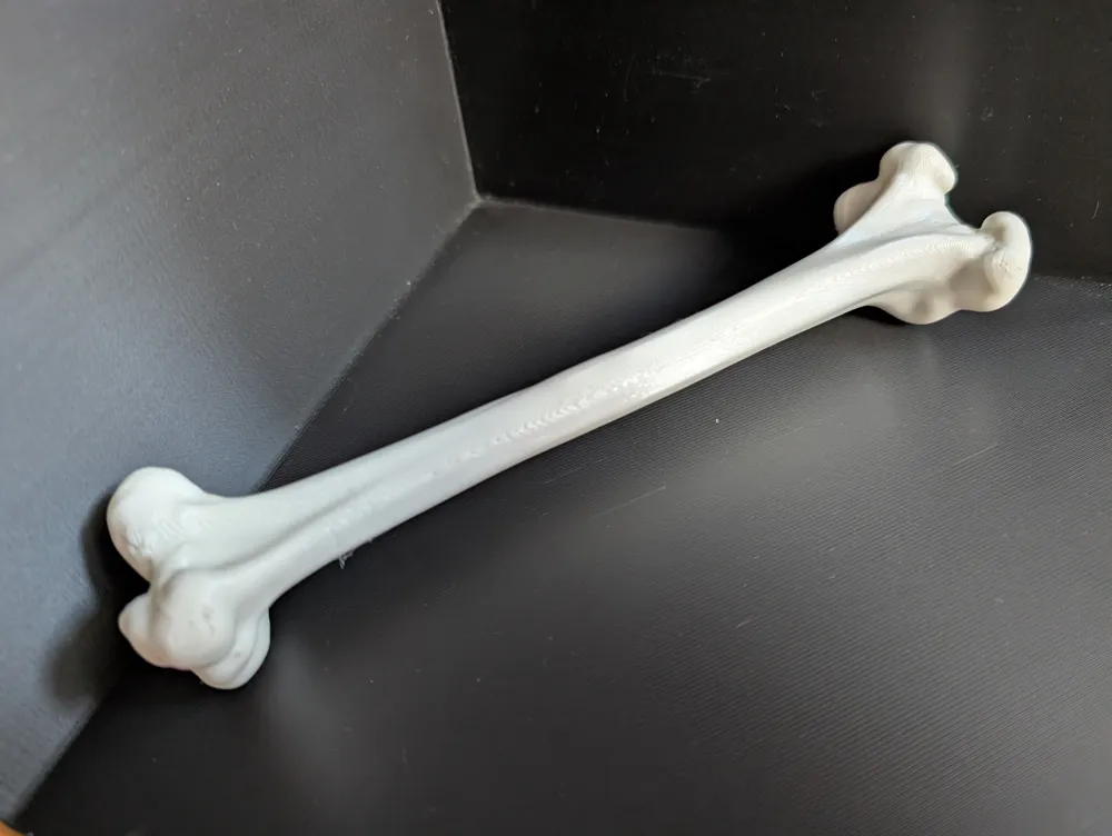 Realistic Dog Bone – Pet Toy & Display Sculpture - Free 3D Print Model ...