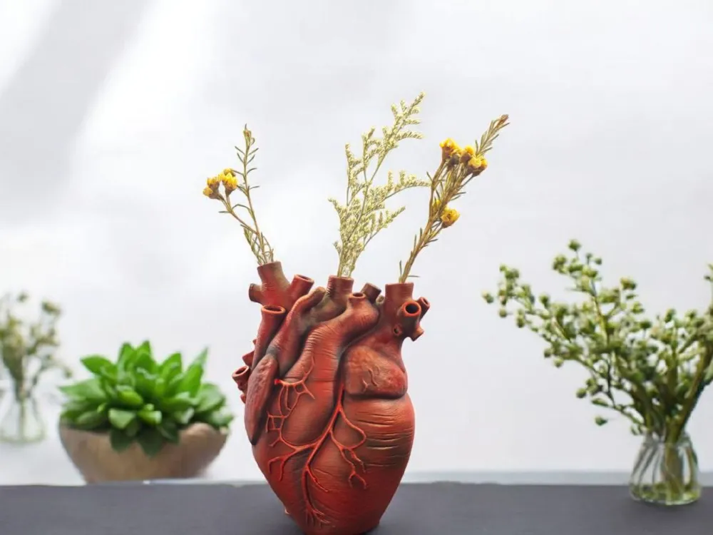 Anatomical Heart Vase - Free 3D Print Model - MakerWorld