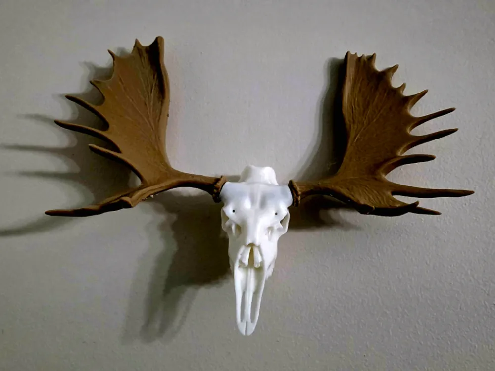 Moose Skull Antler Mount- Bullet Anchor Replica - Free 3D Print Model ...